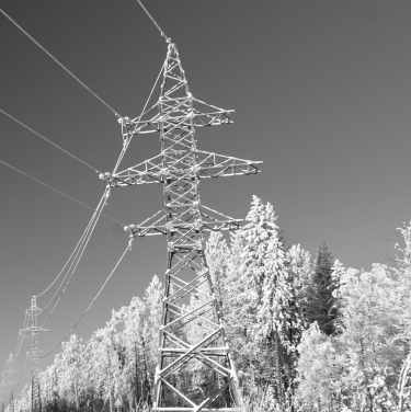 Grid maintenance optimization